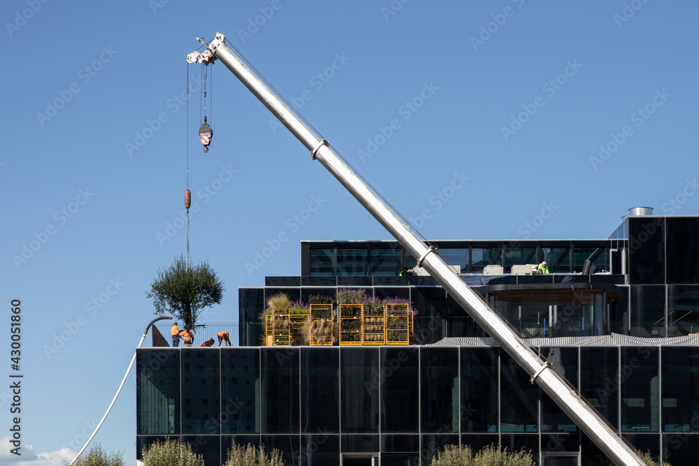Heavy mobile crane lifting tree onto rooftop garden. Stock Photo ...