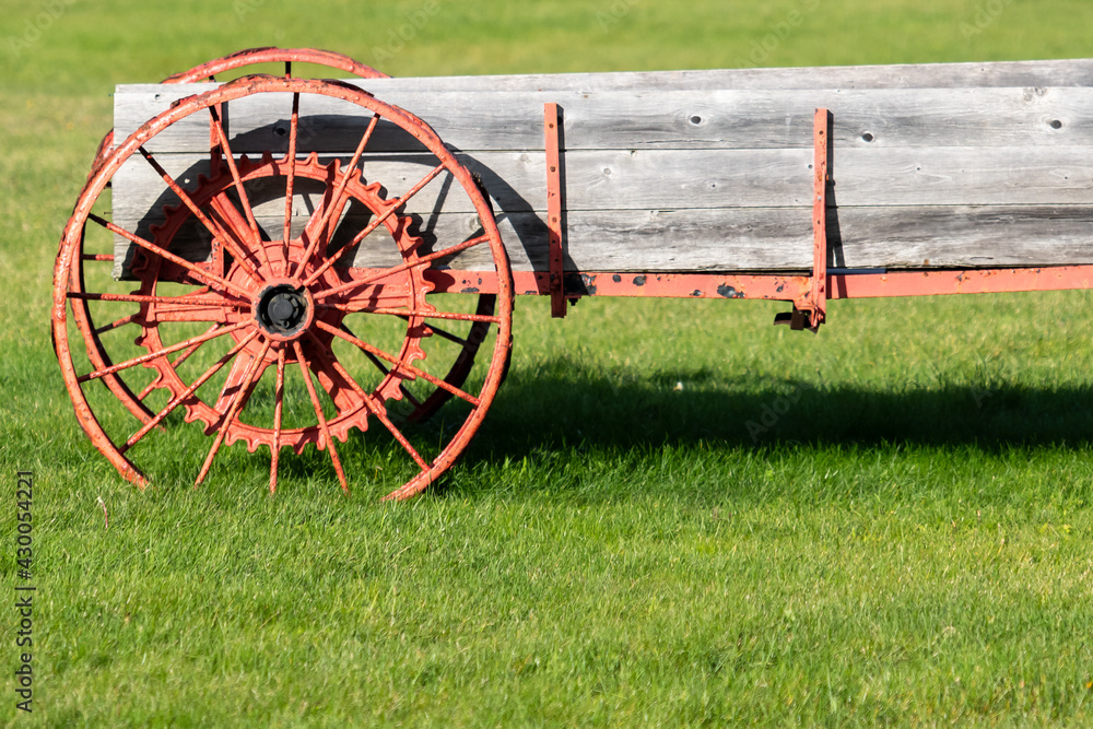 The ground is covered in vibrant green grass and there's a worn wooden ...