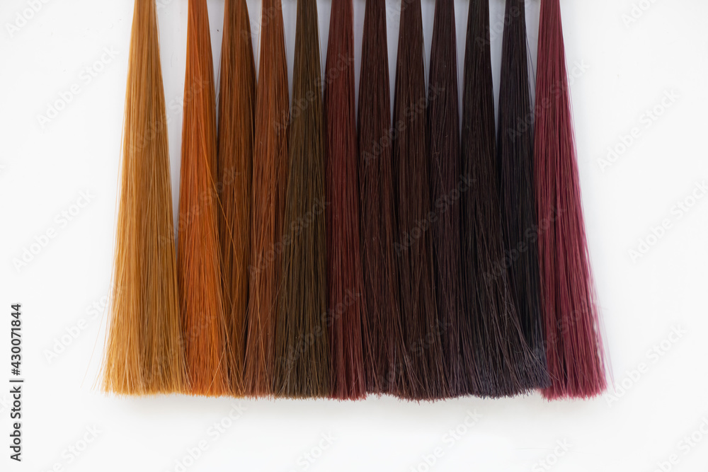 Hair Sample Colors on a Palette Stock Photo | Adobe Stock