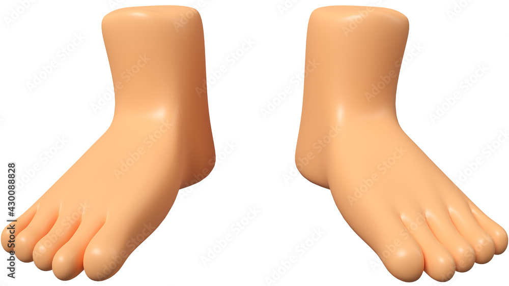 3D Cartoon Feet for Education. The foot plural feet is an anatomical ...
