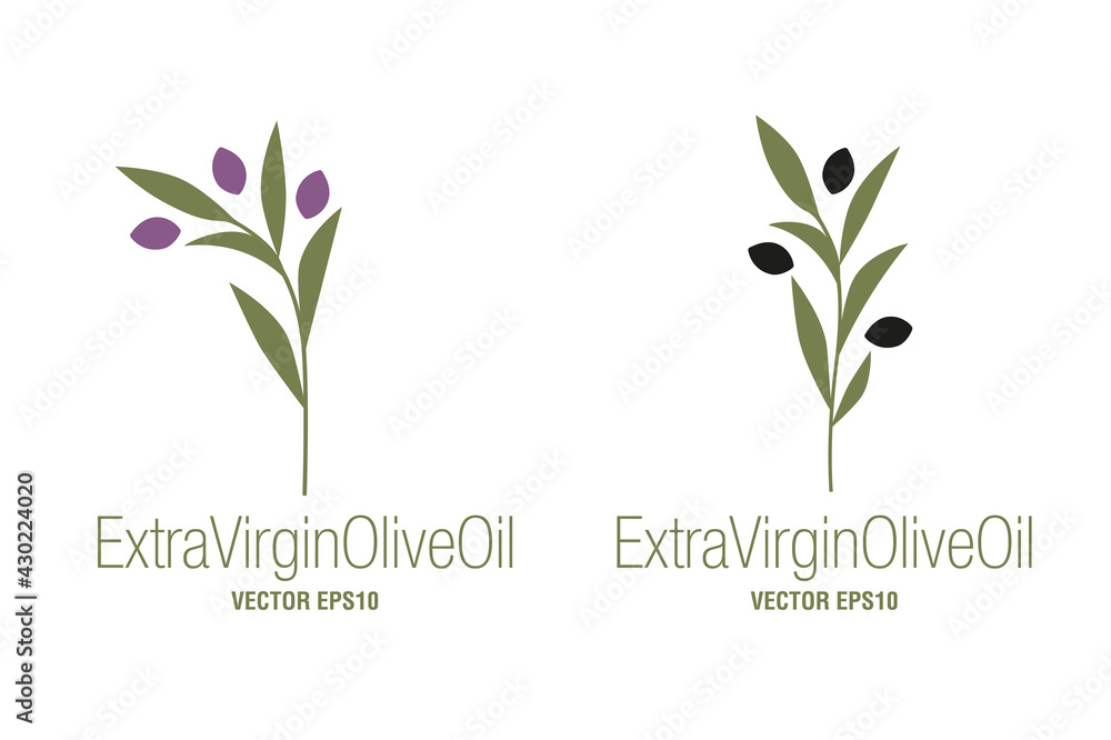 Olive branches food isolated on white background. Extra virgin olive ...