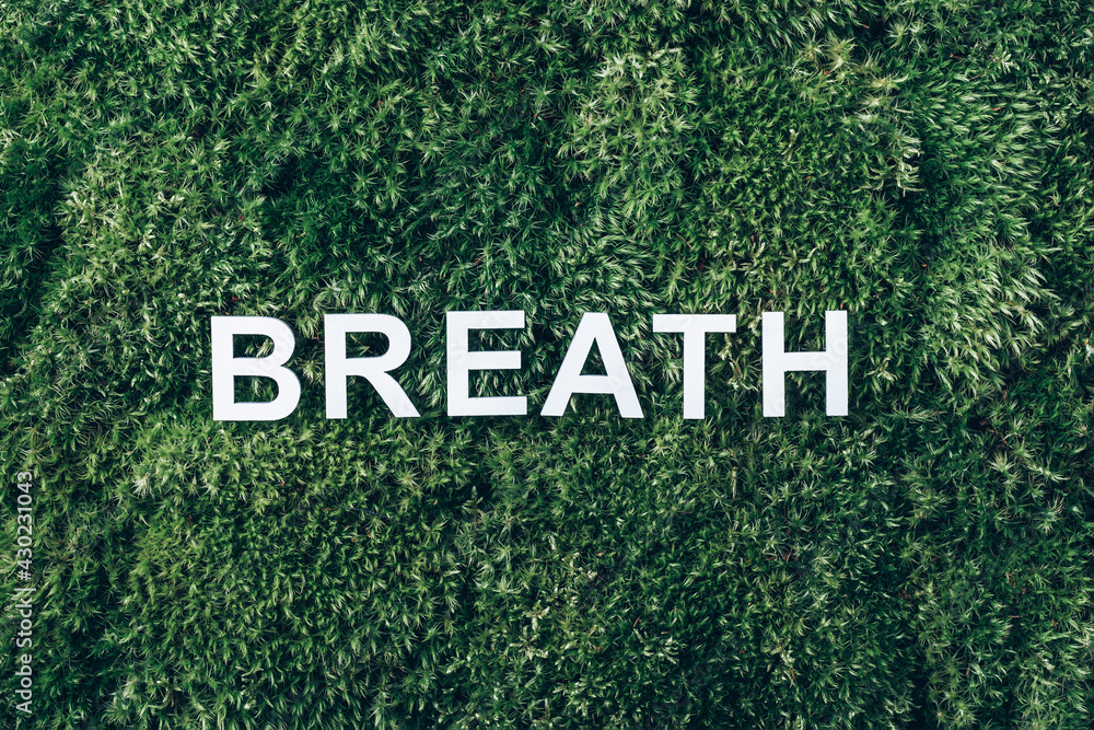Word Breath on moss, green grass background. Top view. Copy space ...