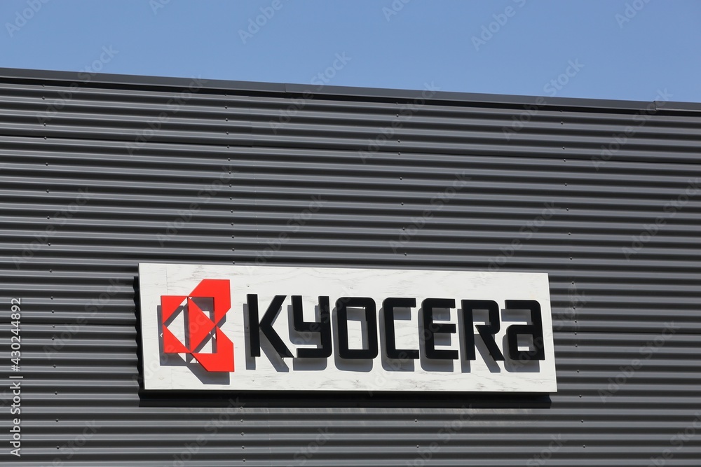 Japanese Multinational Electronics Corporation