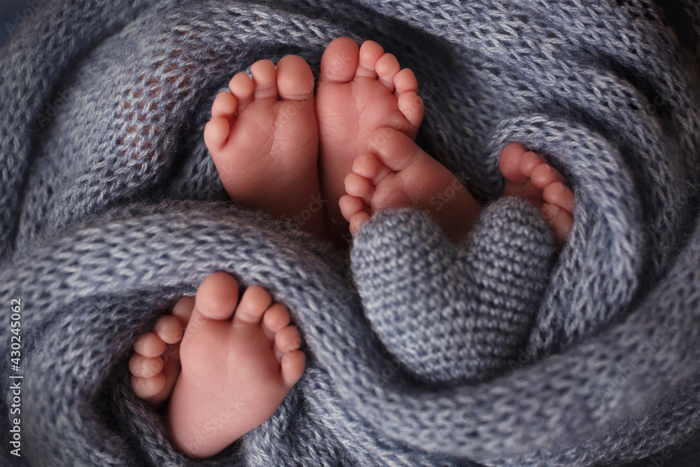 Feet of three newborn babies in a soft blanket. Heart in the legs of ...
