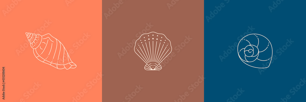 Set of Seashells Icons in a Trendy Minimal Linear Style. Vector ...