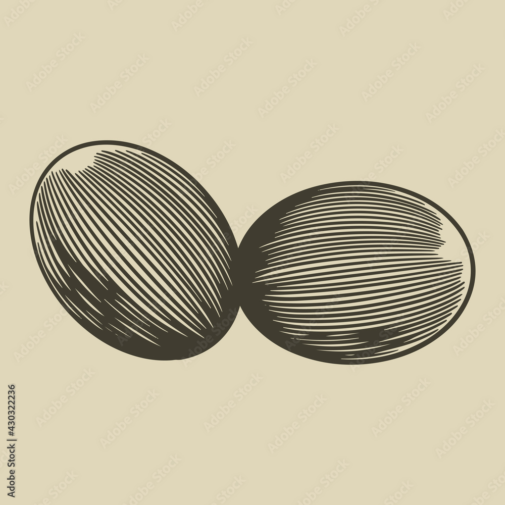 Vector hand drawn vintage engraving eggs. Easter symbols. Icons of ...