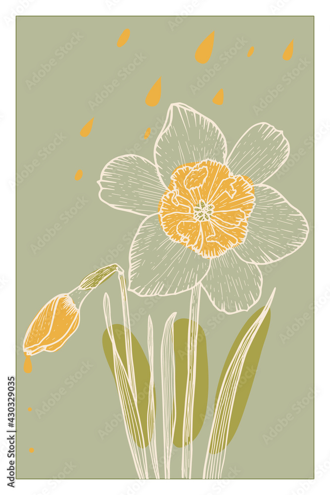 Abstract line art of daffodil flower with color splats. Daffodil ...