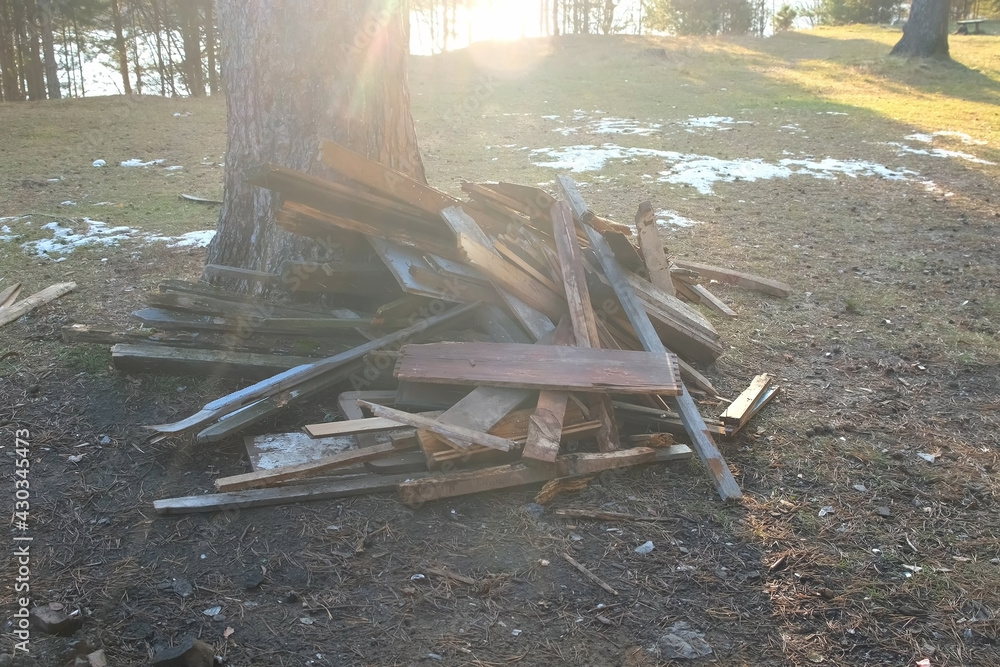 Scrap timber, piles of scrap wood near huge tree in forest on river ...