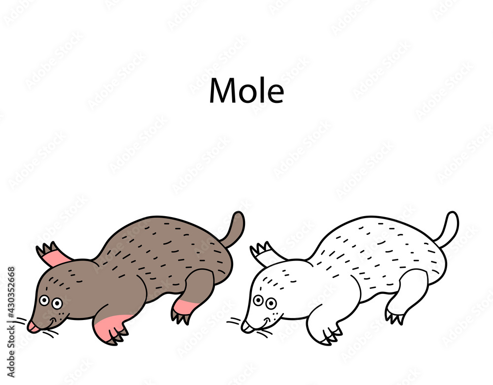 Funny cute animal mole isolated on white background. Linear, contour ...