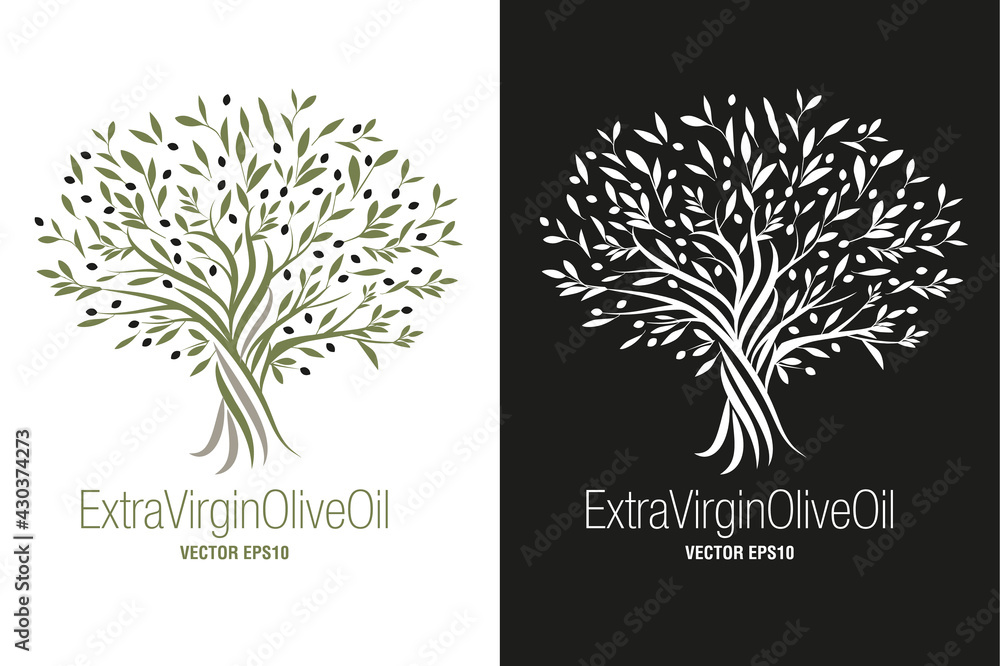 Olive Tree. Extra virgin olive oil symbol. Symbol of culture and ...