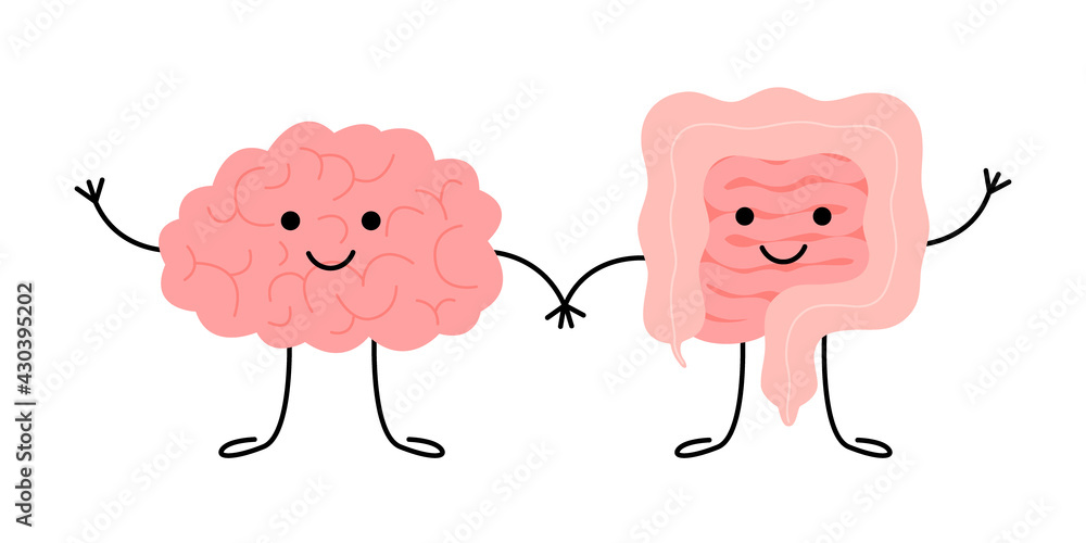 Fototapeta Connection of cute healthy happy brain and intestine gut ...