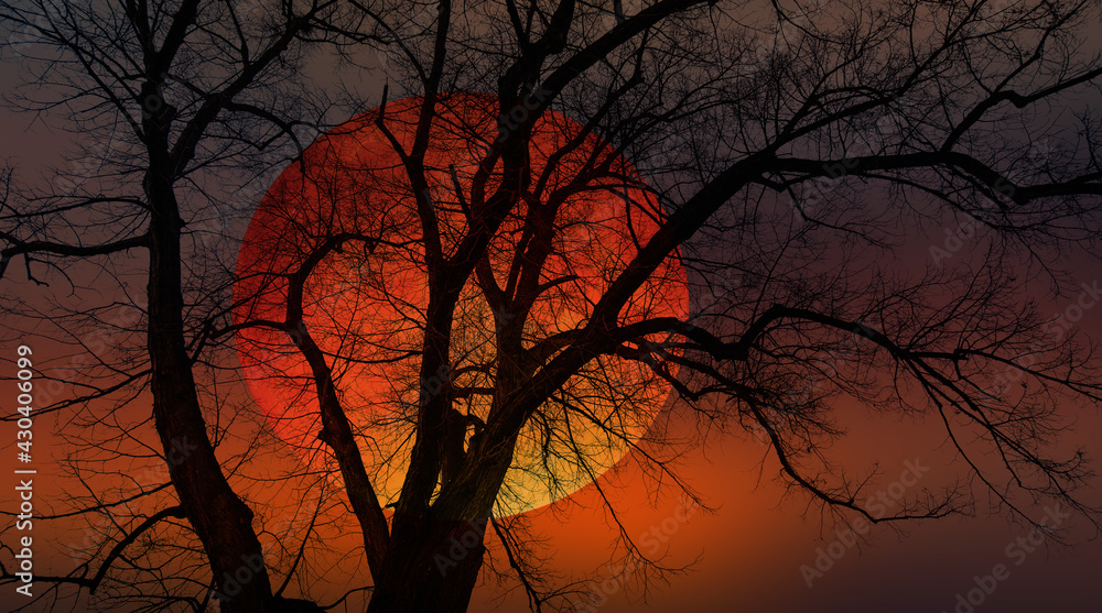 Blood moon of Total Lunar Eclipse with lone tree Stock Photo | Adobe Stock