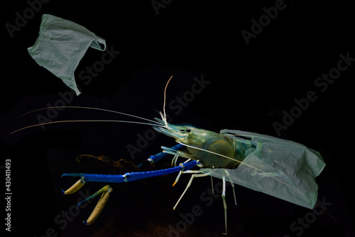 Plastic pollution and shrimp in ocean.environment conservation concept ...