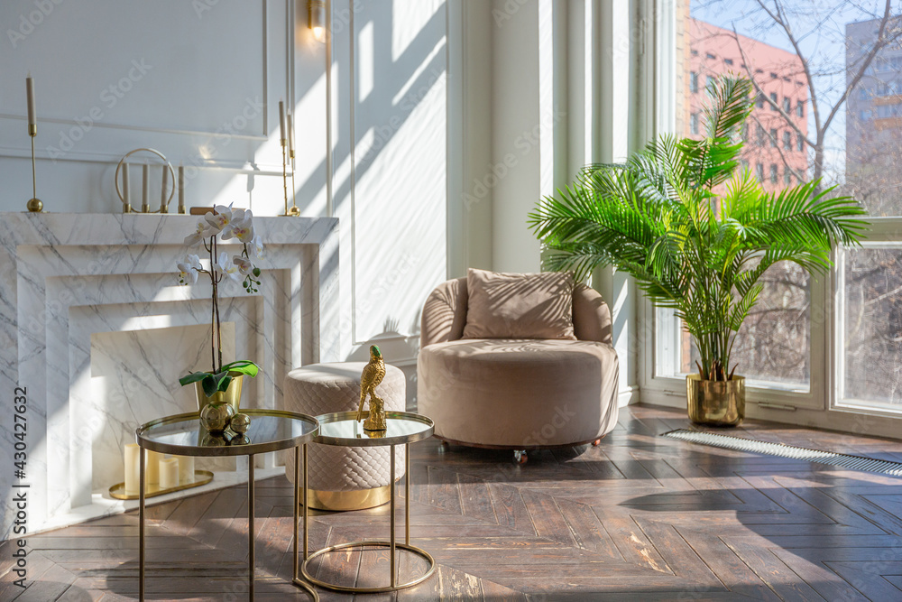 very light and bright interior of luxurious cozy living room with chic ...