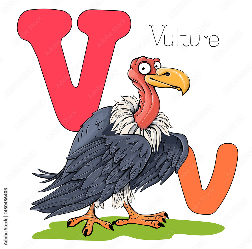 Animals That Start With The Letter V