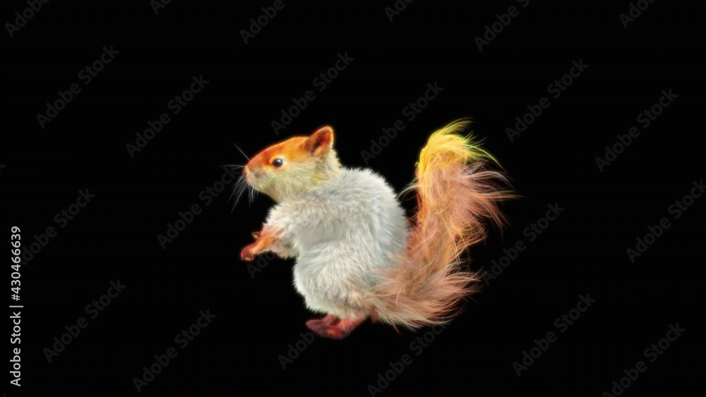 White squirrel Dance CG fur. 3d rendering, animal realistic CGI VFX ...