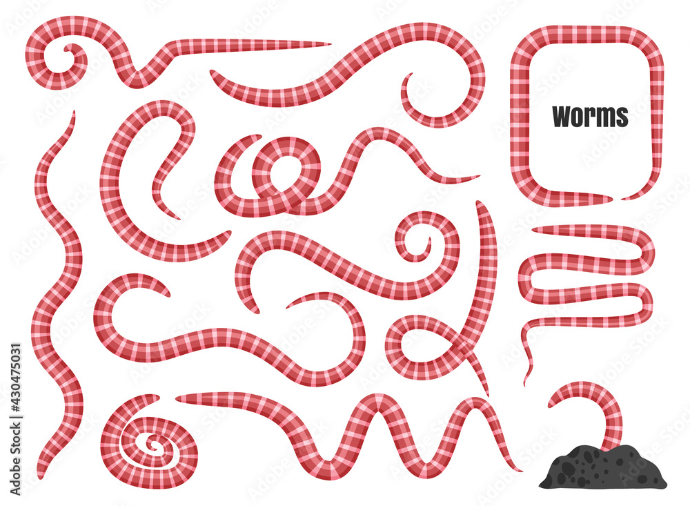 Earth Worm Set, Earthworms, Pink Segmented Soil Worms, Annelida Stock ...