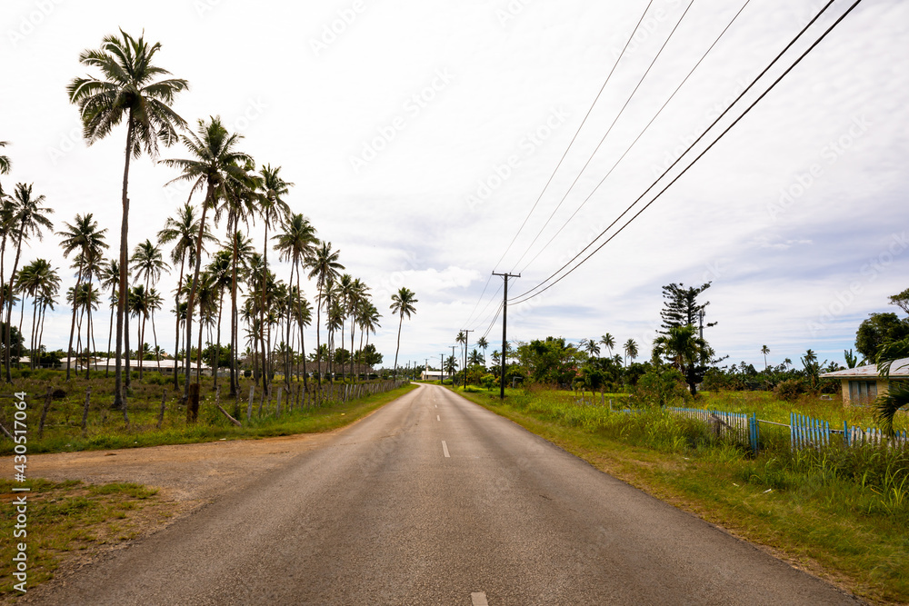 Country road through the main island is flanked by rows of coconut ...