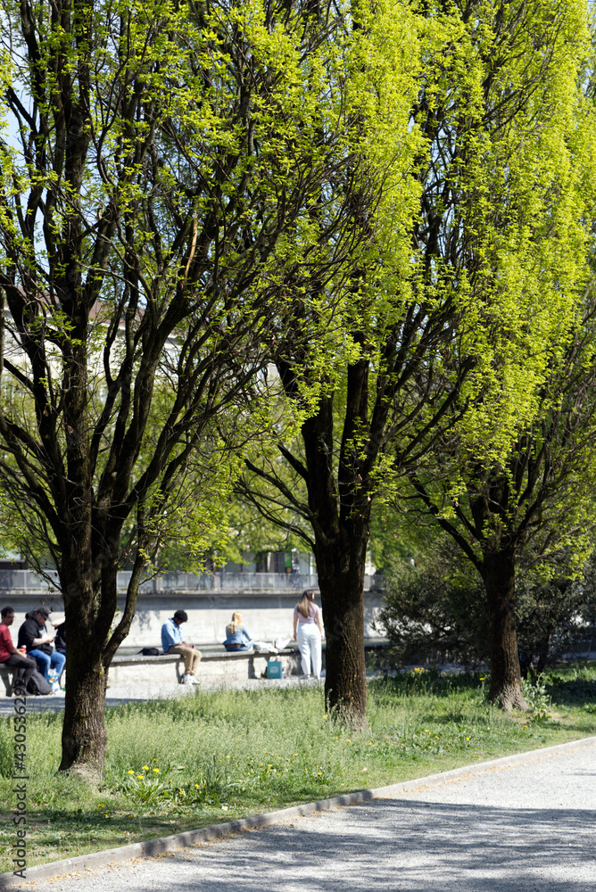 Pathway at Platzspitz park at springtime with trees and shadows at City ...