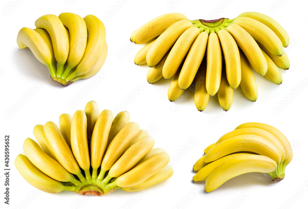 Banana isolated. Bananas on white. Bunch of baby bananas. Banana set ...