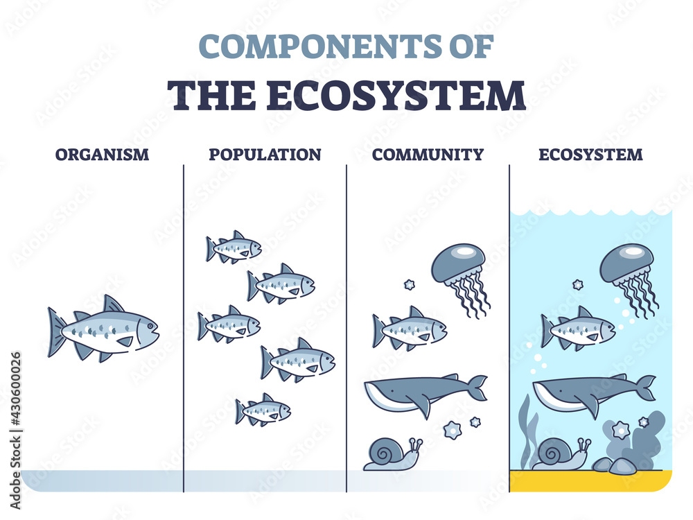 Vetor do Stock: Components of environmental ecosystem with organism ...