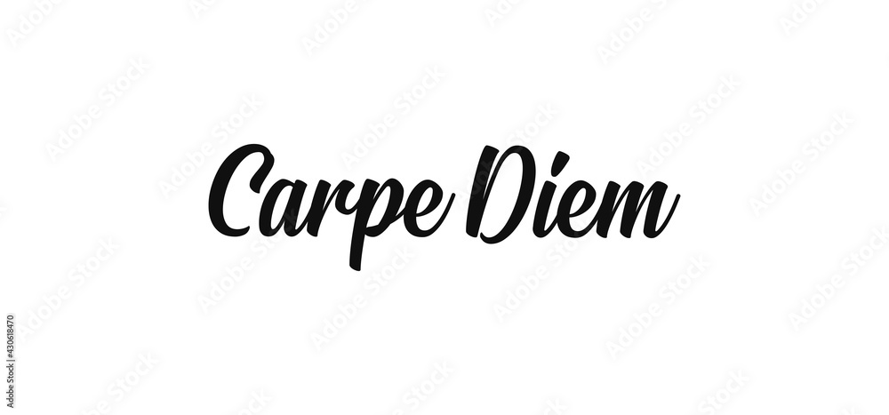 Carpe Diem lettering text, hand drawn typographic style phrase ...