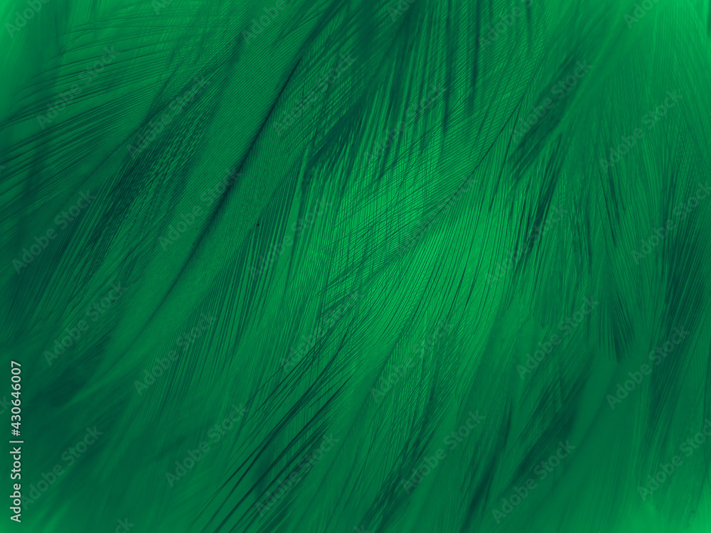 Beautiful abstract green feathers on white background, yellow feather ...