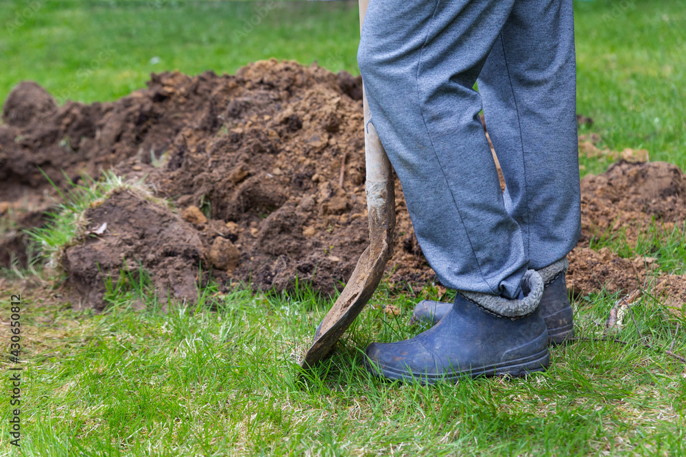 Legs of a man in rubber boots with a shovel near the excavated ground ...