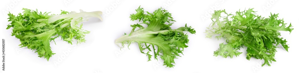 Fresh green leaves of endive frisee chicory salad isolated on white ...