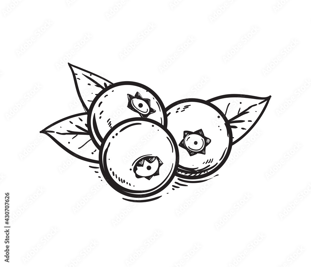 Cartoon Blueberry Black And White