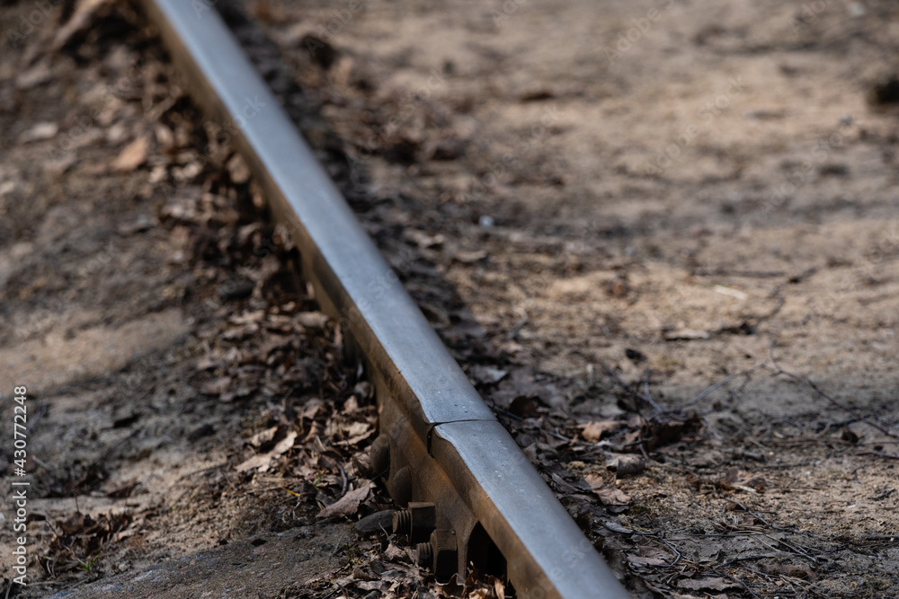 narrow gauge railway in a swamp where there are metal rails and ...