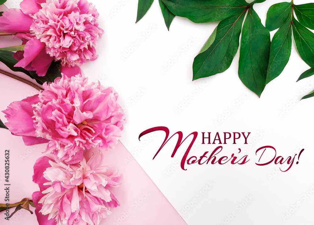 Composition of pink peonies, leaves on a white and pastel pink ...