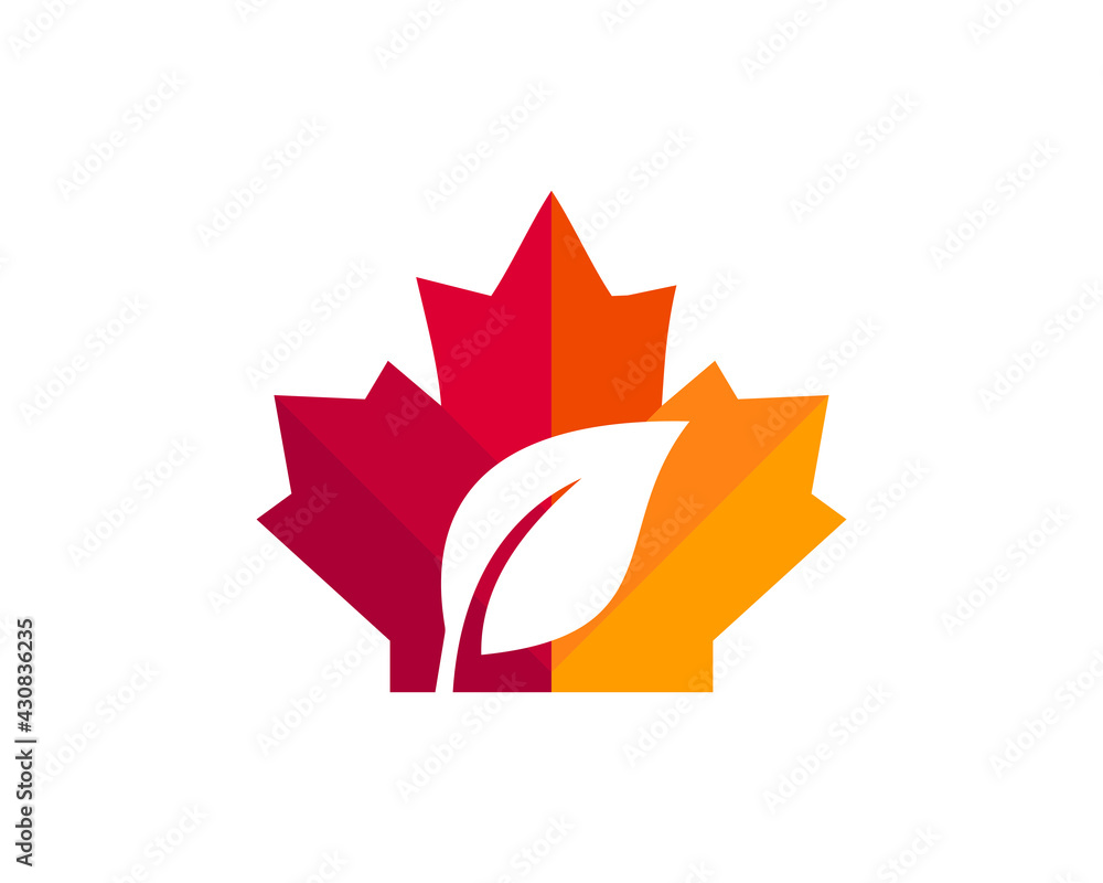 Maple leaf logo design. Canadian leaf logo. Red Maple leaf with green ...