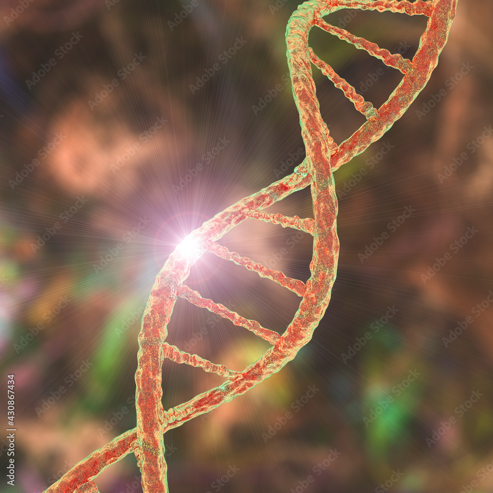 Genetic mutation, conceptual 3D illustration. Double stranded DNA ...