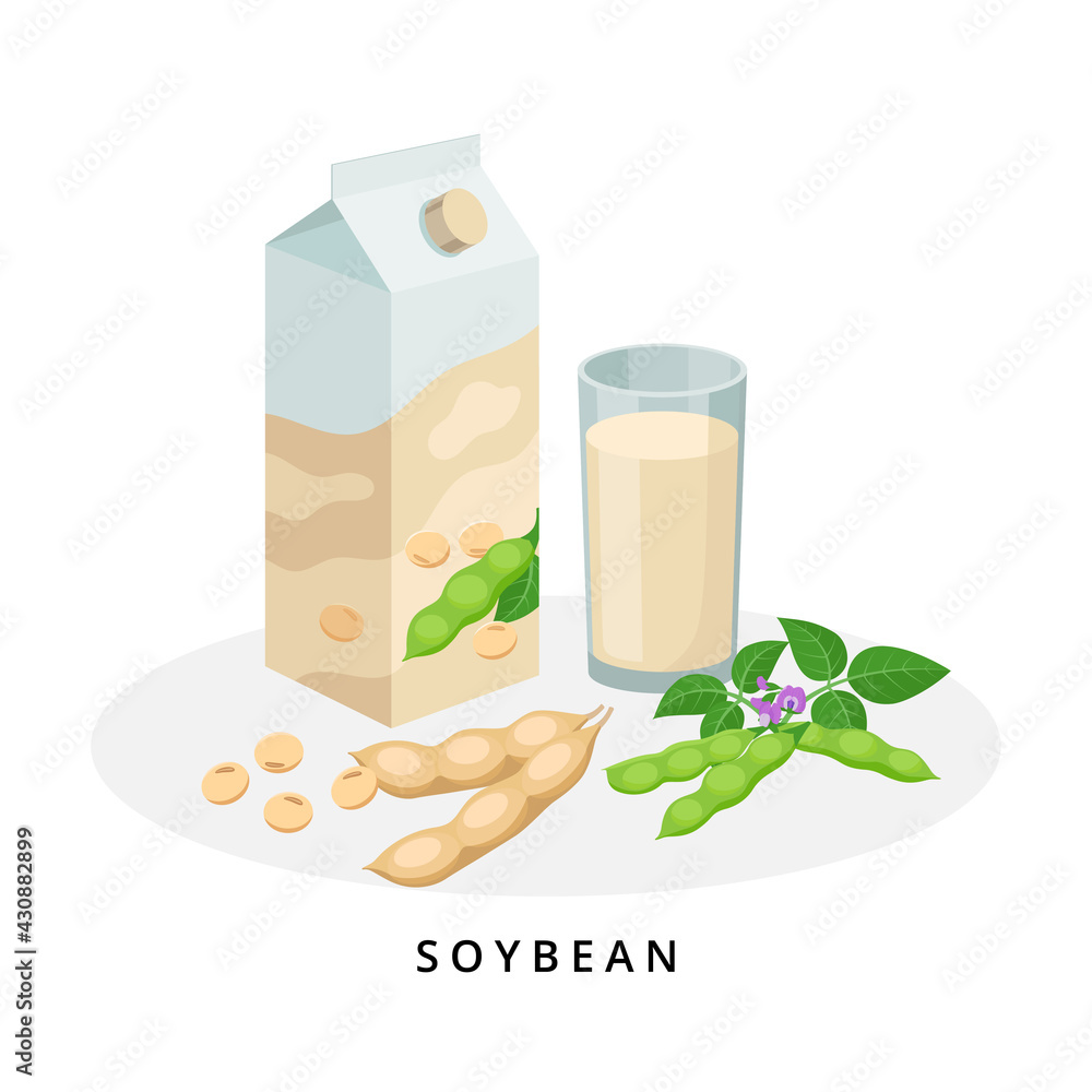 Soy milk in box and glass. Plant milk, vegan milk concept. Vector ...