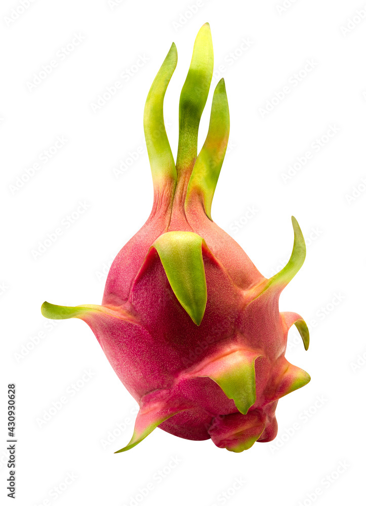 Dragon fruit crop isolated on white background with clipping path Stock ...
