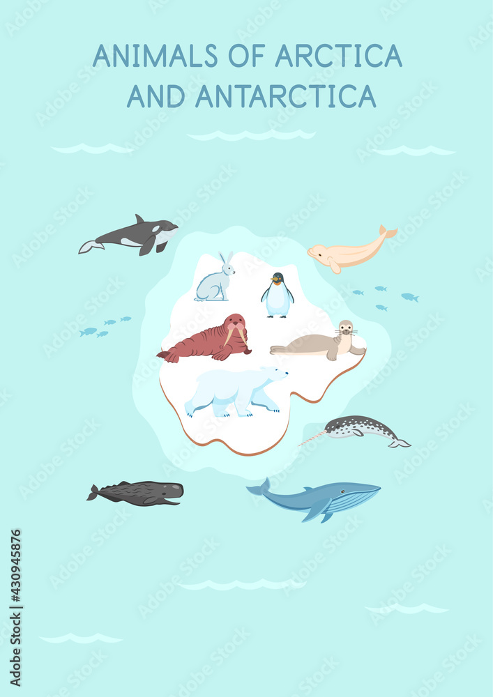 Animals of the arctica and antarctica map: penguin, hare, whale, seal ...