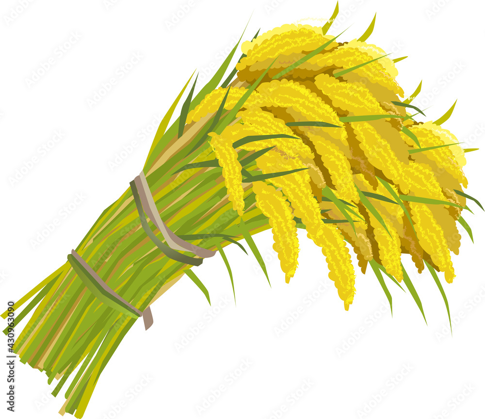 Vector illustration of rice bundle Stock Vector | Adobe Stock