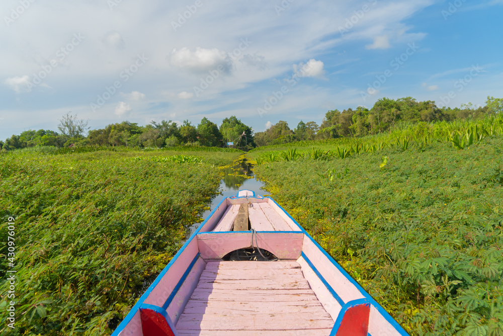 Sailing local wooden boat stuck in the river, sea ocean and tree forest ...