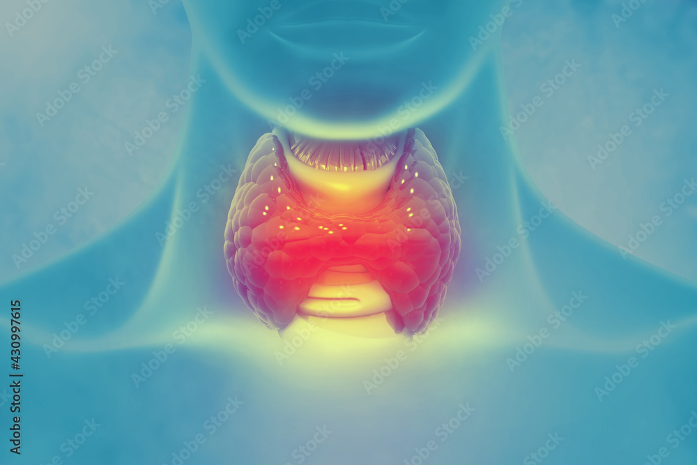 Thyroid gland on scientific background. 3d illustration Stock ...