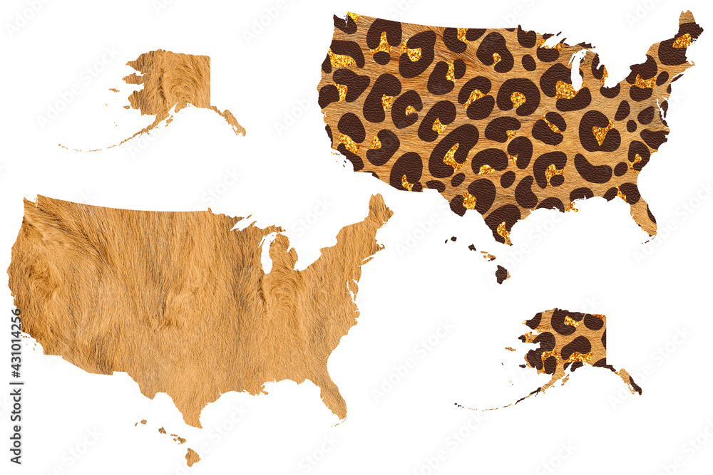 Bright USA clip art set. Map with furry leopard texture on white ...