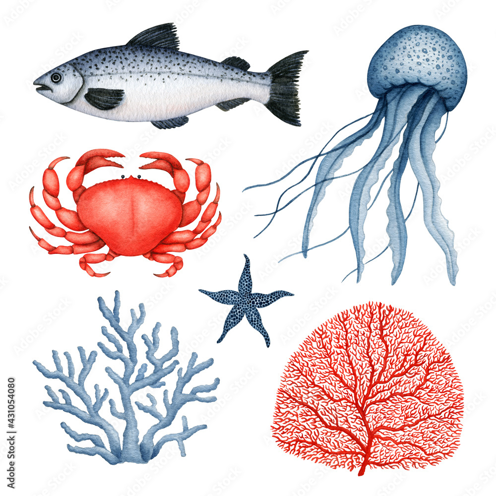 Watercolor underwater wild animal set. Jellyfish, Crab, Starfish, Coral ...