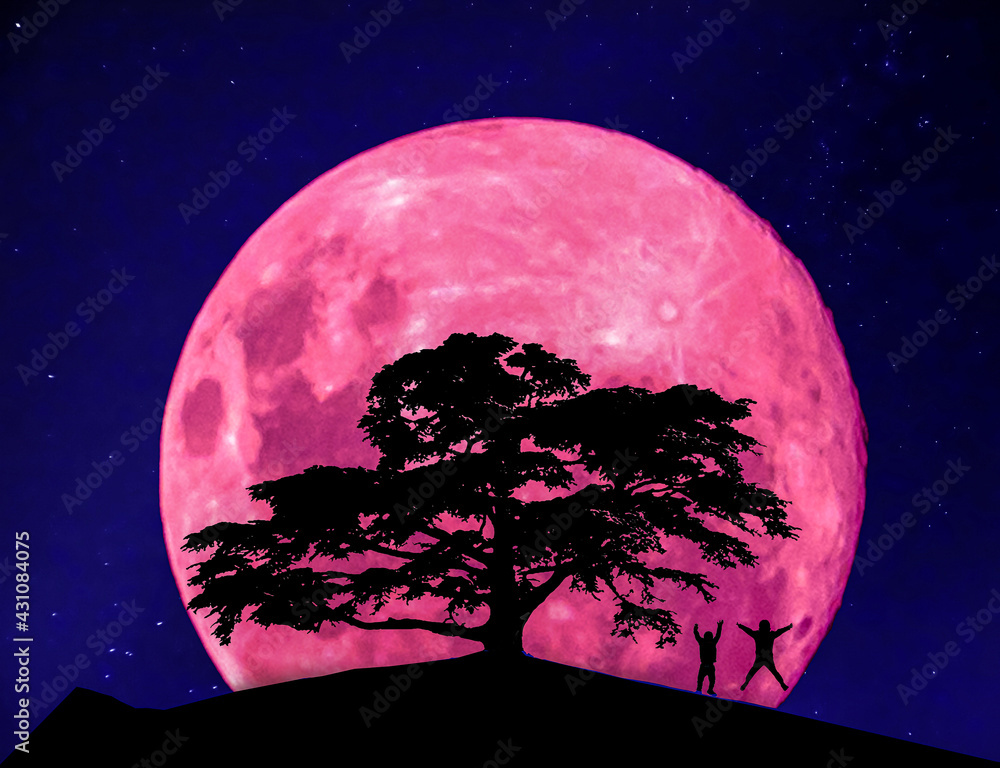 Silhouette of two boys doing star jumps under the Lebanese Cedar Tree ...