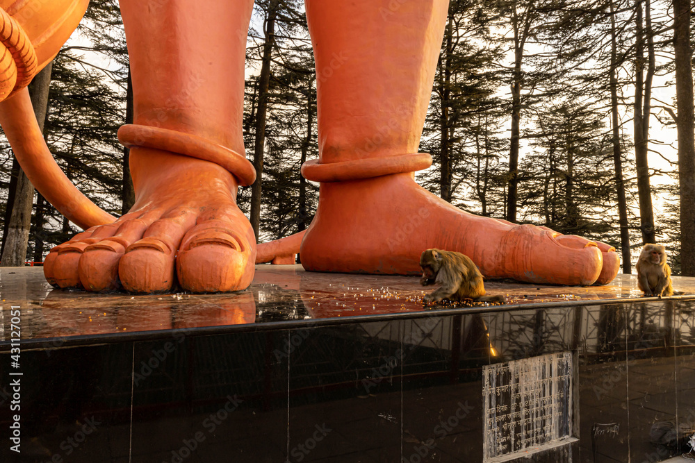 lord hanuman at jakhu mandir (jakhu temple)shimla. Stock Photo | Adobe ...