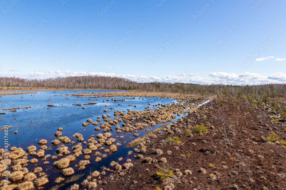 Springy, squishy, damp freshwater lake layered with a mesh of moss in a ...