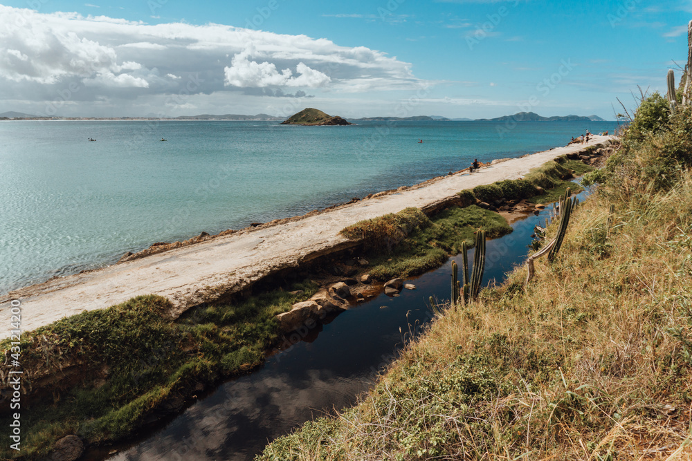 Narrow body of water going along grass and sand on a beach with cacti ...