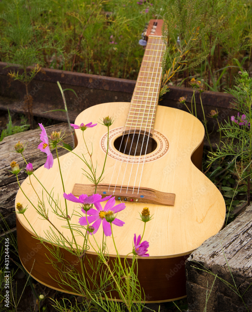 Tour through the old railway of the city of Garibaldi in the interior ...