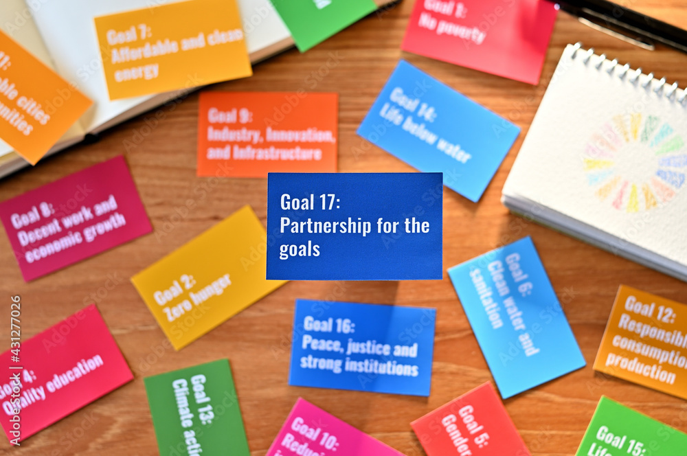 There is a card with the statement Goal 17:Partnership for the goals on ...
