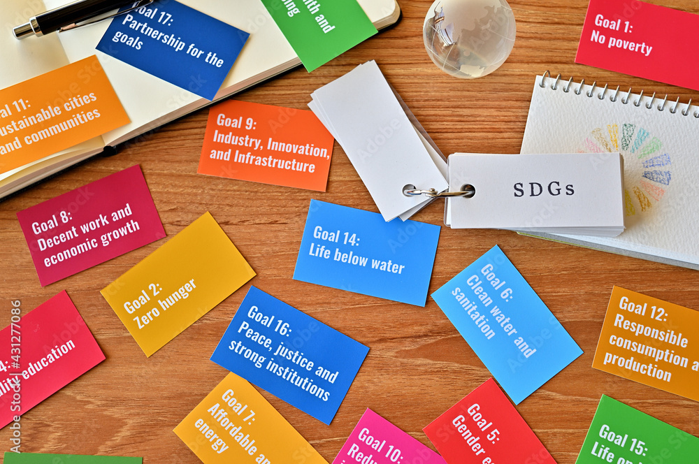 There is a table with a card with the SDG goals and a ball of earth, a ...
