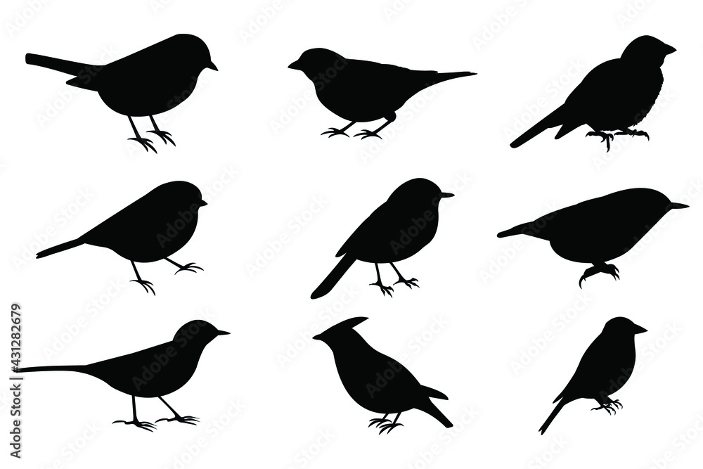 Silhouettes of birds, set, isolated on a white background. Birds: great ...